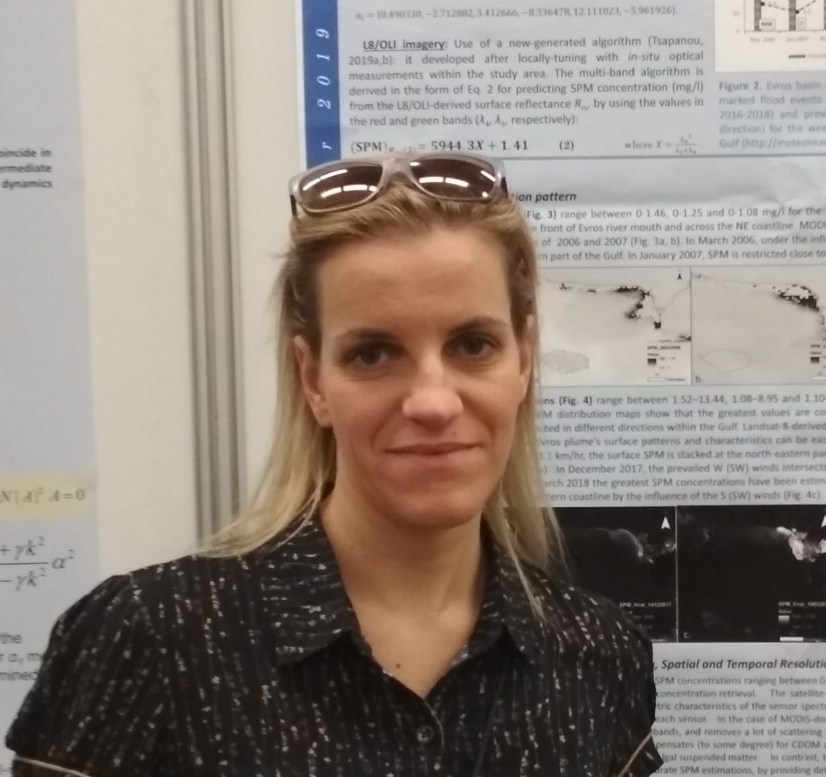 Katerina Karditsa - P.M.S